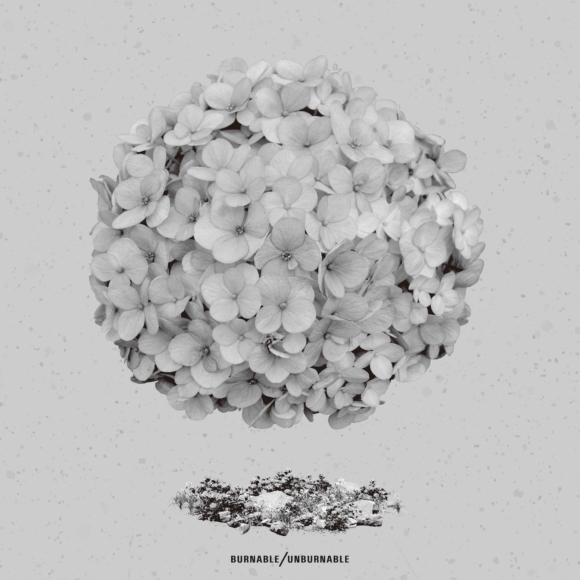 BURNABLE/UNBURNABLEが2023年の梅雨入りを発表、日本全国にアジサイ咲き乱れる | PONY CANYON NEWS ...