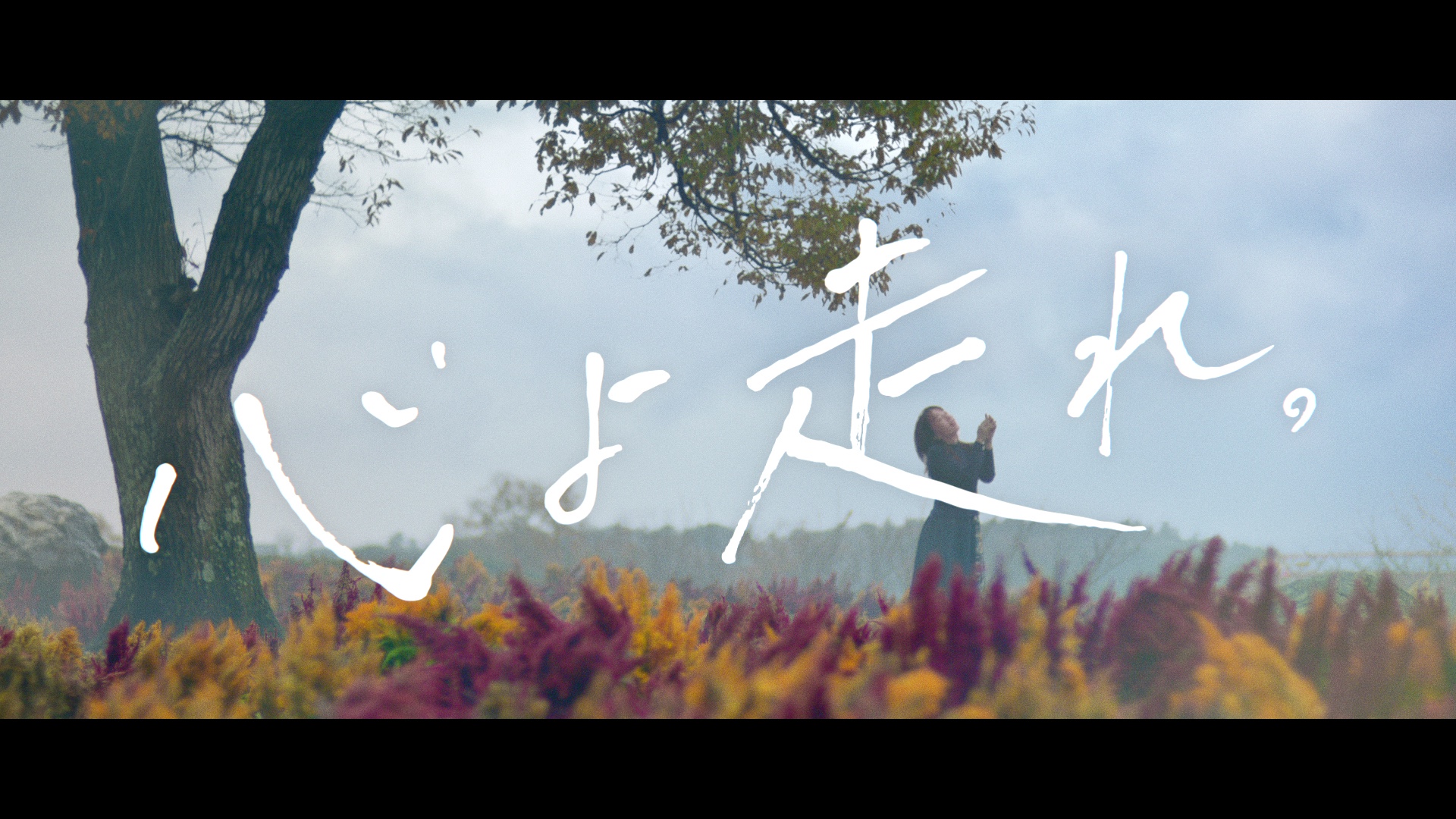 ヒグチアイ、2月21日全国放送開始のMAZDAの新TVCM『心よ走れ。感動篇』で初のCM単独出演！「悪魔の子」がストリーミング累計2億回再生を ...