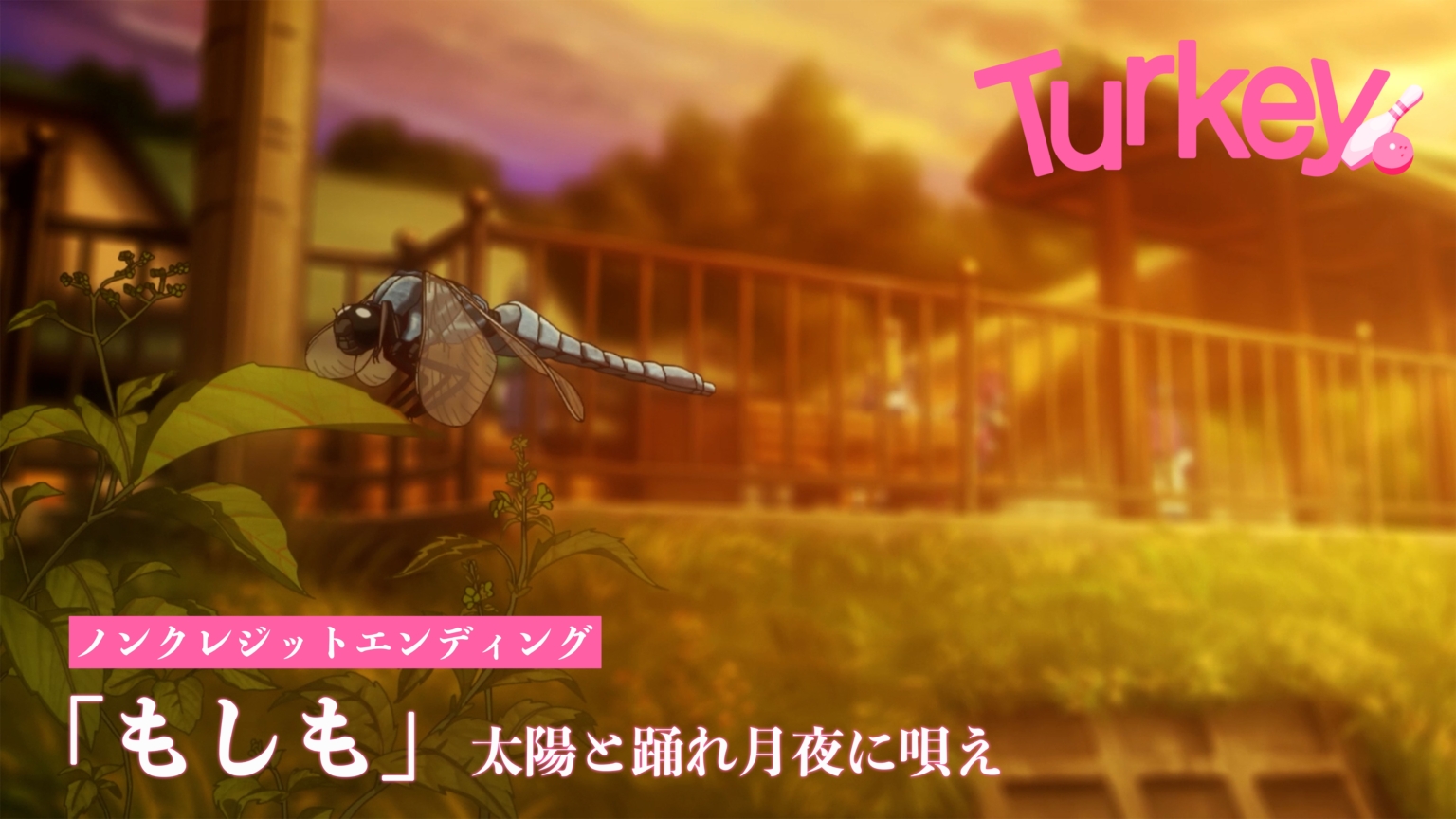 TVアニメ「Turkey!」ノンクレジットオープニング映像・ノンクレジットエンディング映像をそれぞれ公開！ | PONY CANYON ...